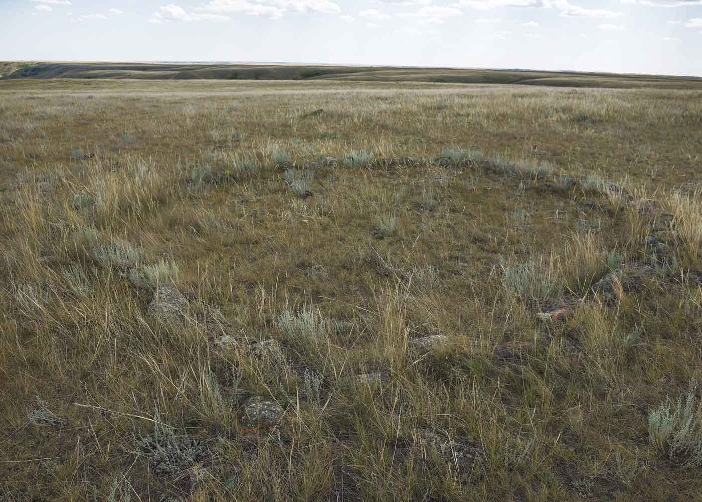 Bar Diamond Guest Ranch – Travel Special Areas Alberta