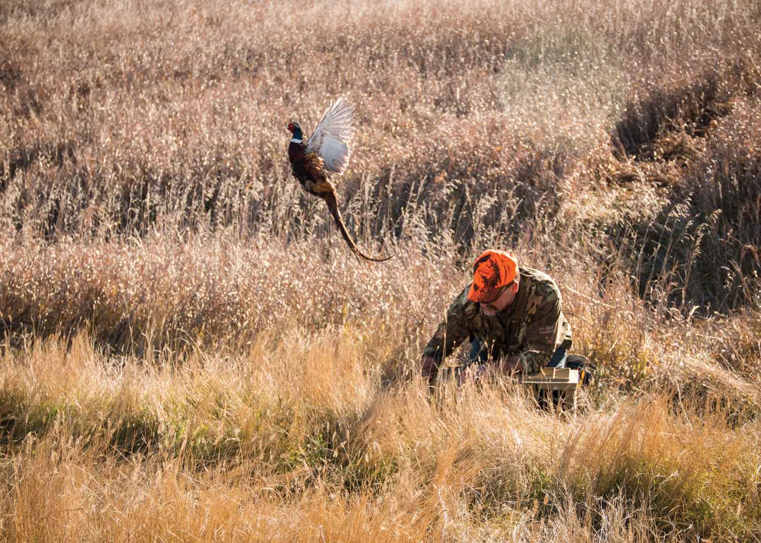 Oyen,AB – Travel Special Areas Alberta