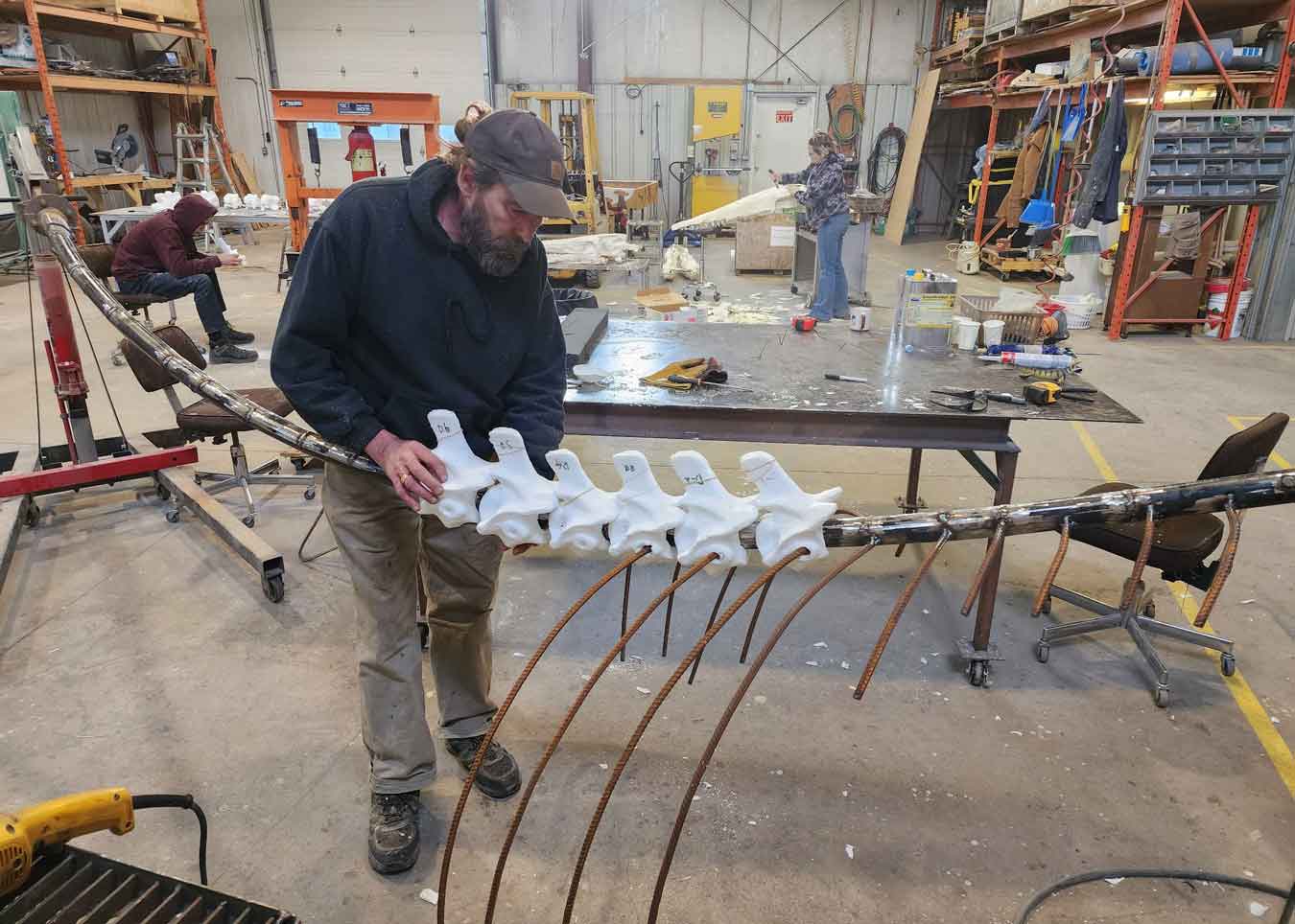 Carolside Mosasaur Project – Travel Special Areas Alberta