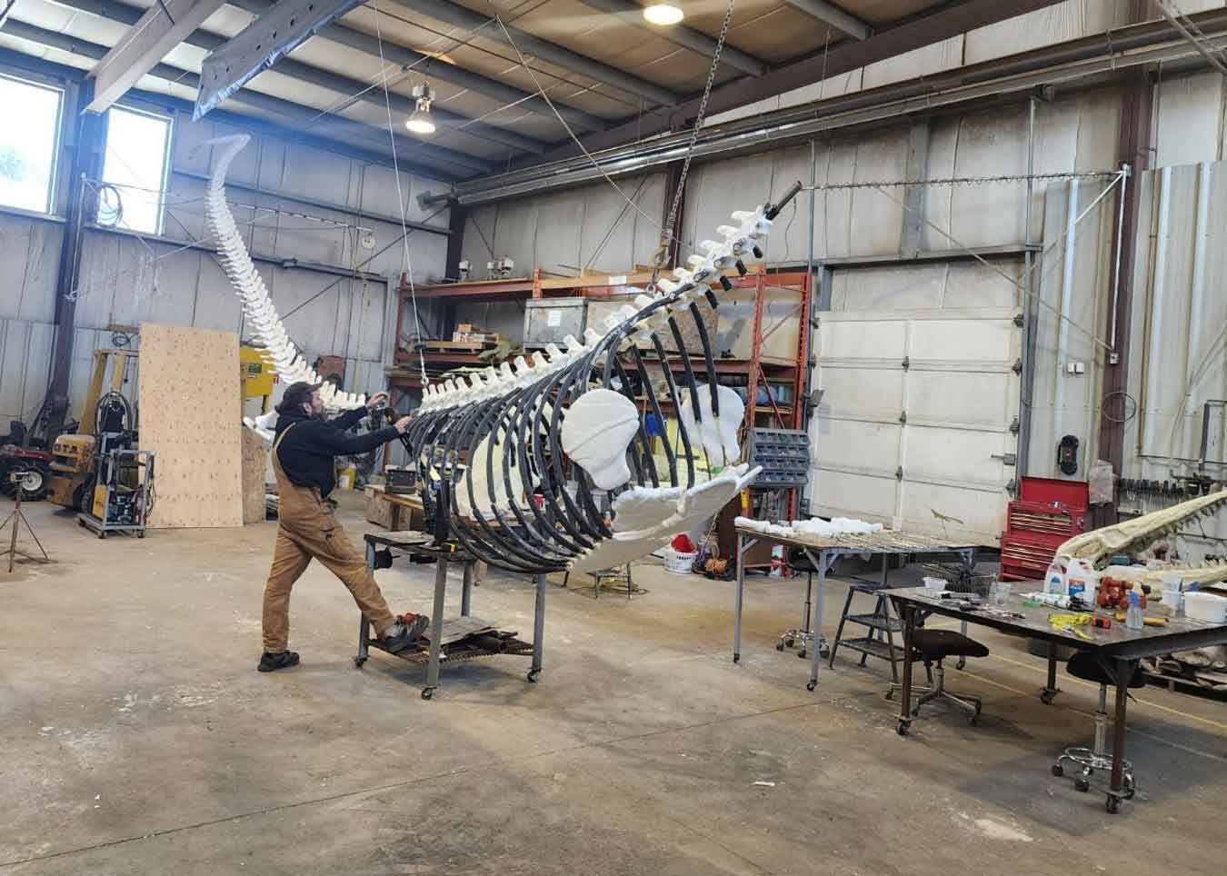 Carolside Mosasaur Project – Travel Special Areas Alberta