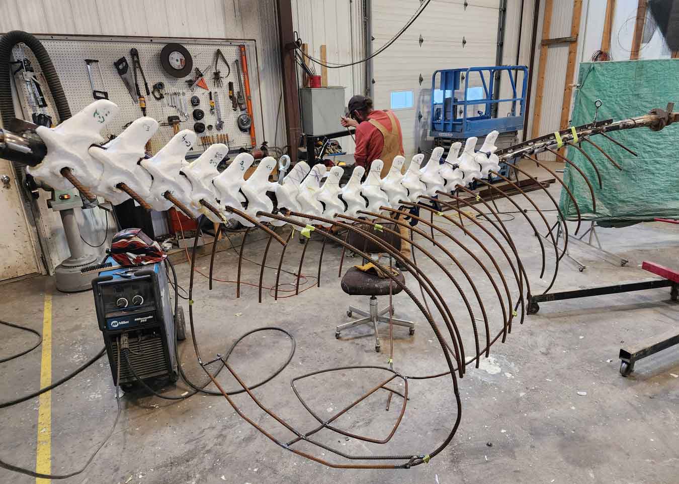 Carolside Mosasaur Project – Travel Special Areas Alberta