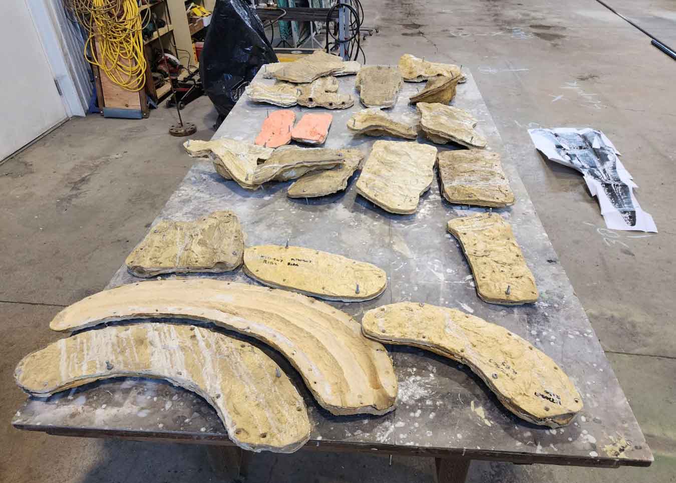 Carolside Mosasaur Project – Travel Special Areas Alberta