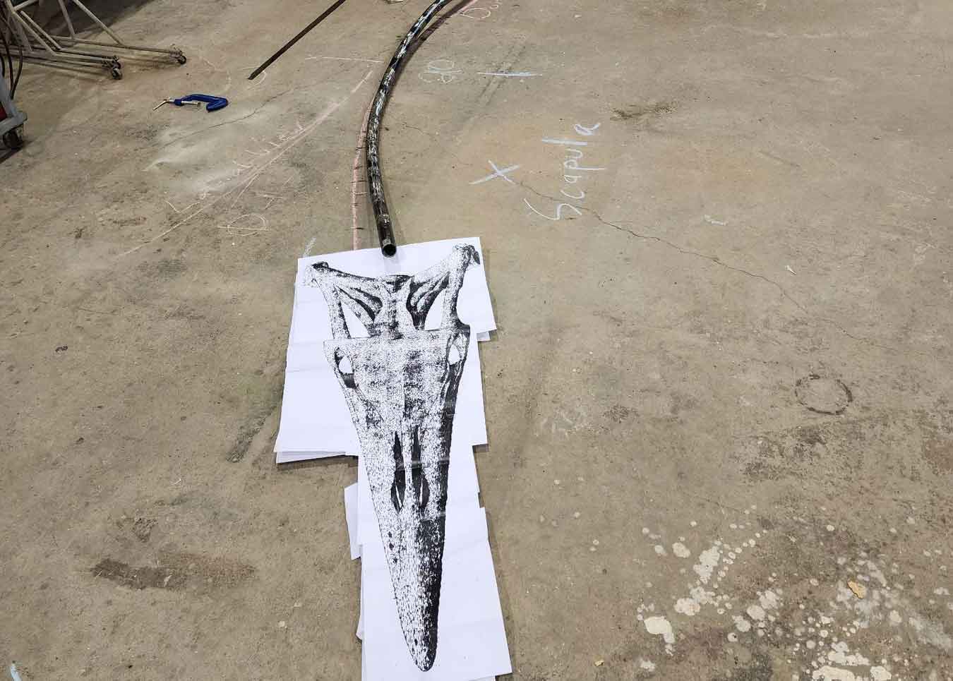 Carolside Mosasaur Project – Travel Special Areas Alberta