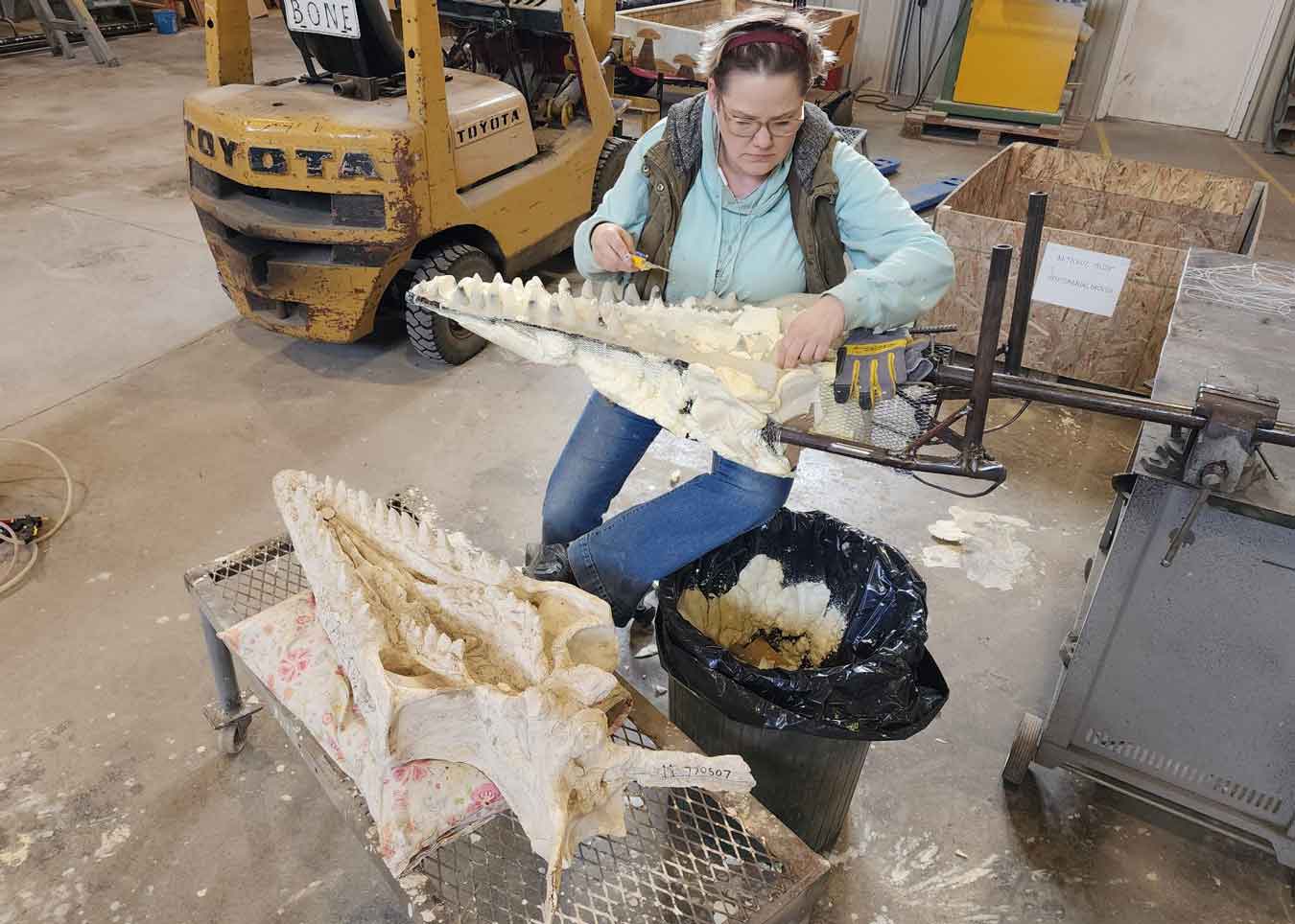Carolside Mosasaur Project – Travel Special Areas Alberta