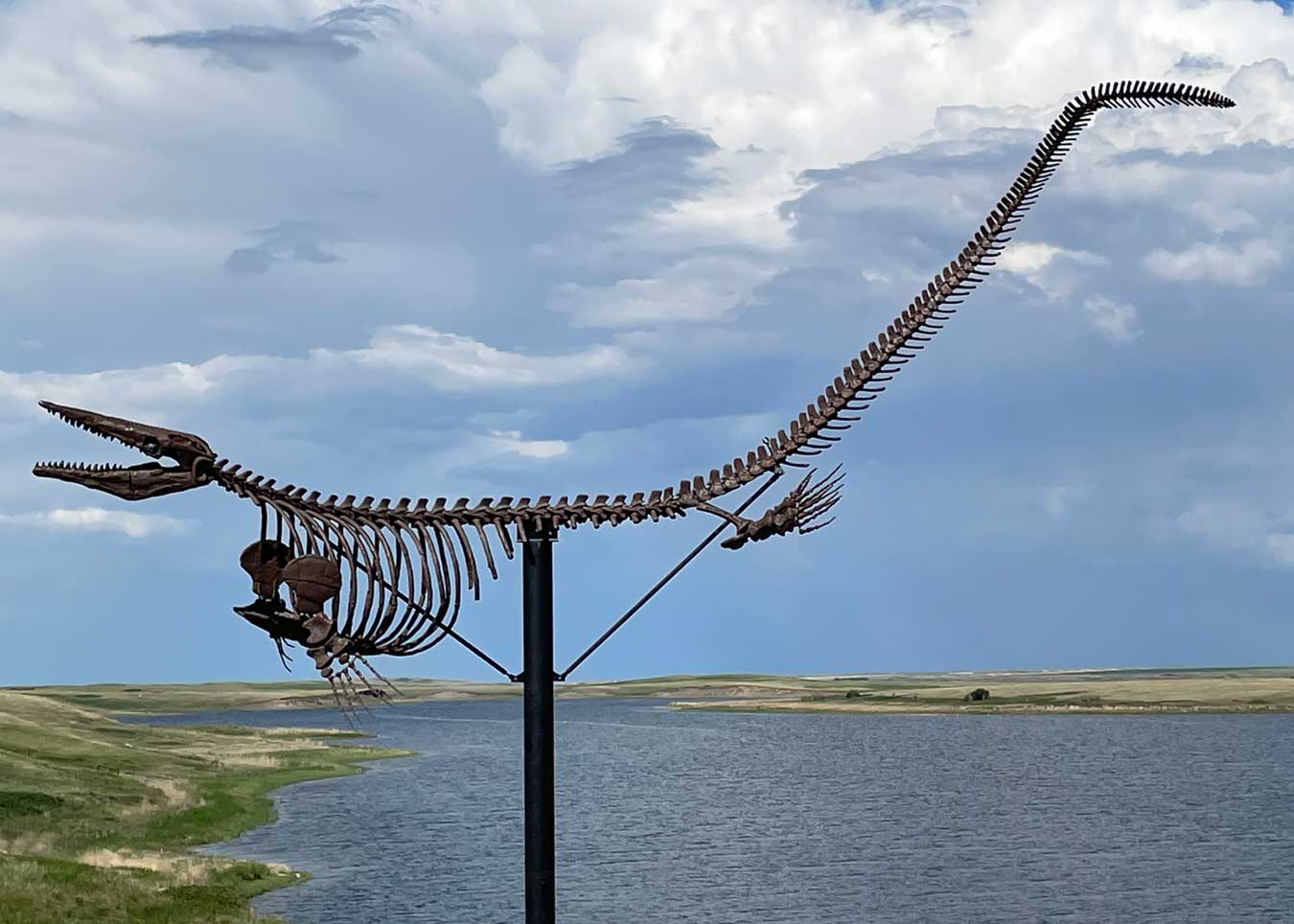 Carolside Mosasaur – Travel Special Areas Alberta
