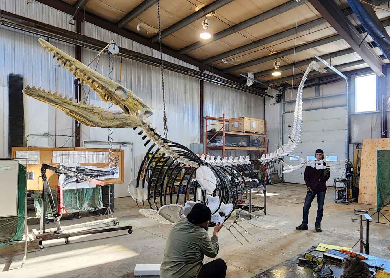 Carolside Mosasaur Project – Travel Special Areas Alberta